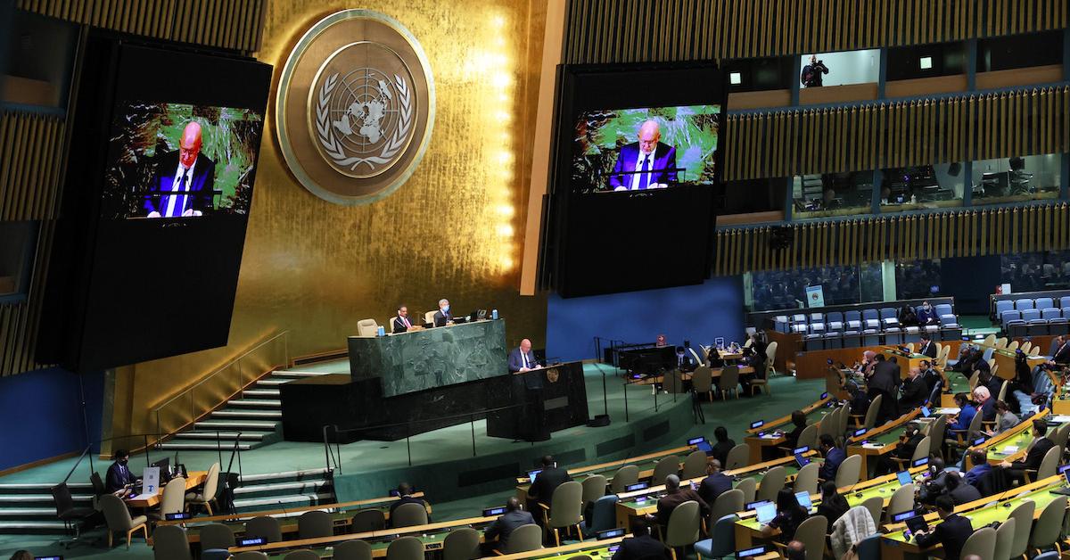 COP15 Montreal, the UN Biodiversity Conference: What to Know