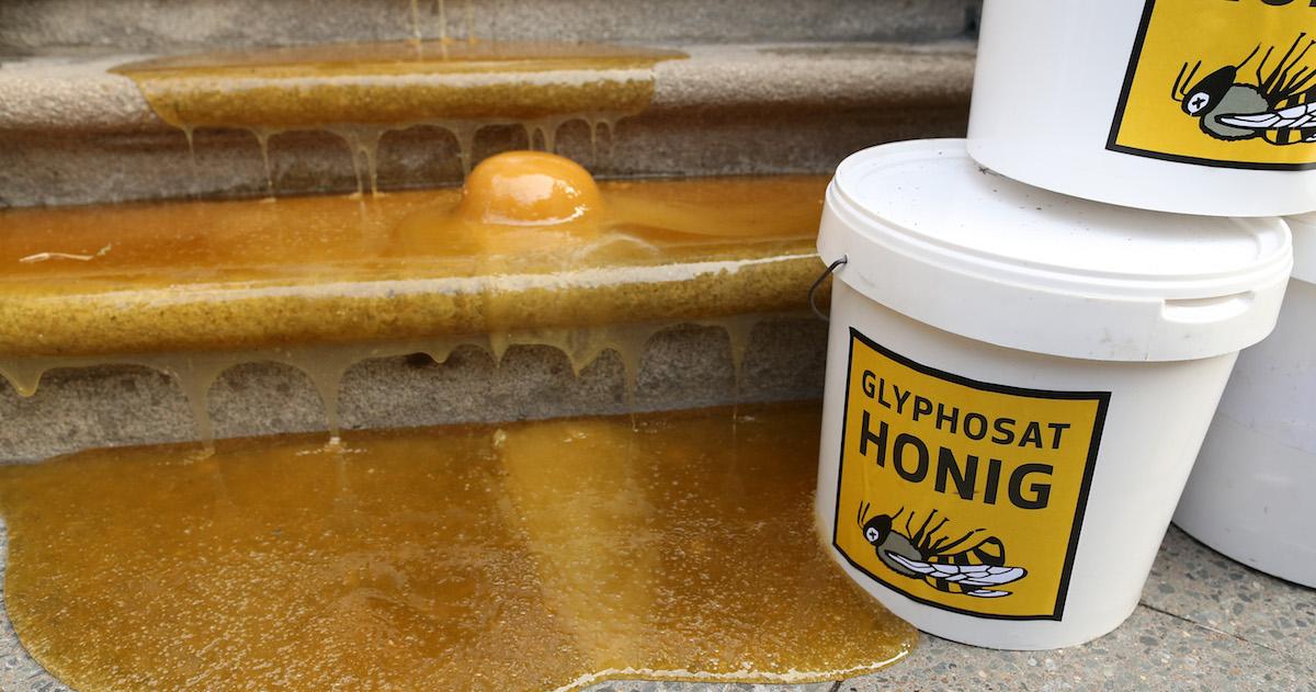 Why Are Bees Disappearing?