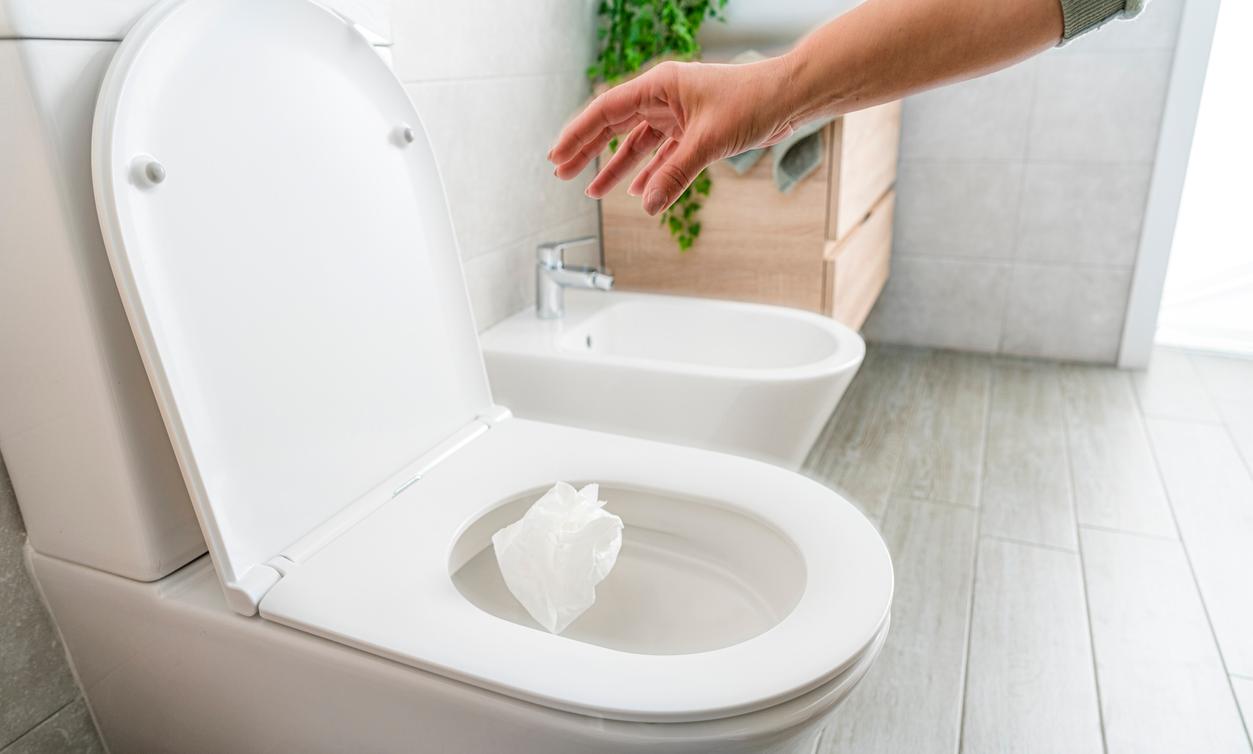 Can You Flush Paper Towels? How to Dispose of Them Safely