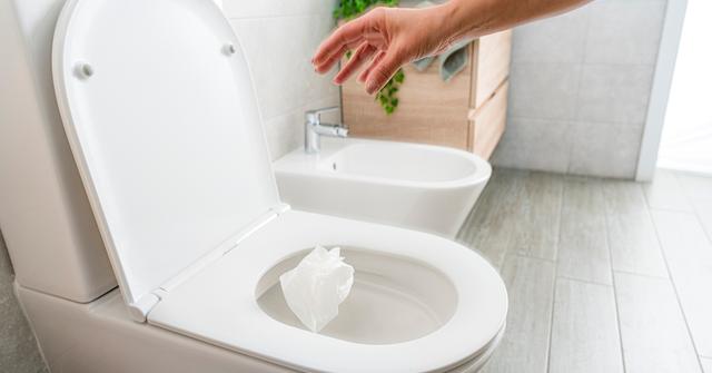 Can You Flush Paper Towels? How to Dispose of Them Safely