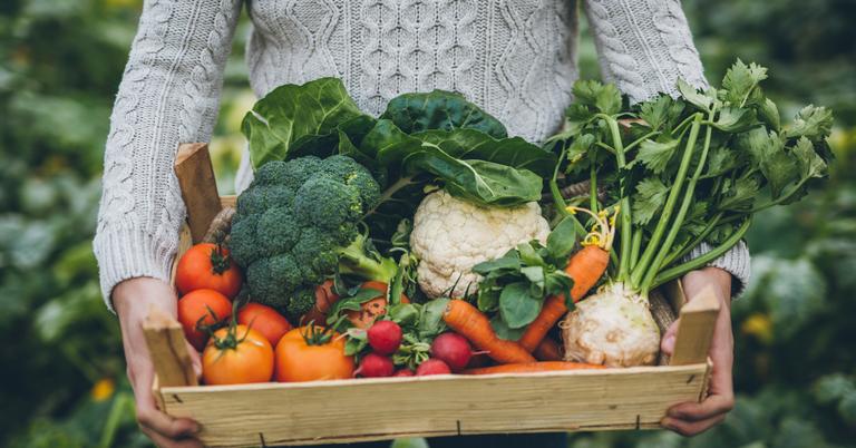 Monocropping – What Is It and How It’s Hurting the Environment