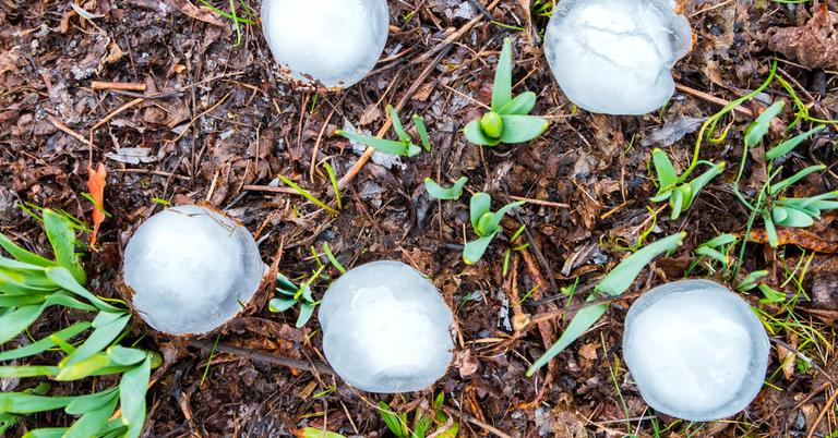 Have You Ever Seen “DVD-Sized” Hail? You Might Soon