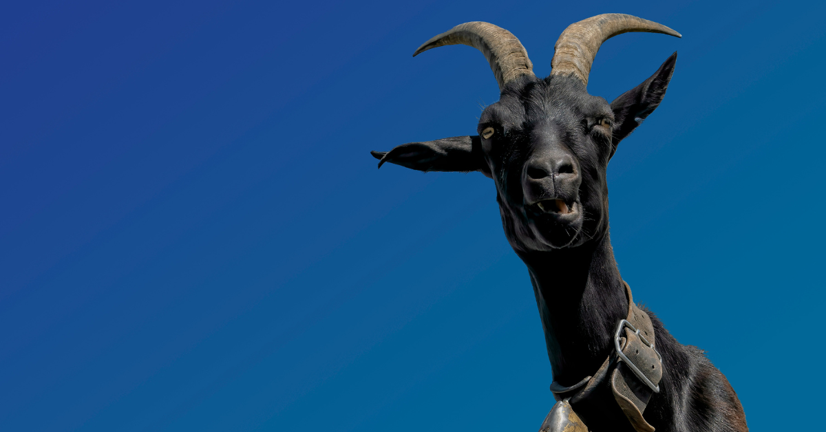 Why Are Goats Considered Evil by So Many People?