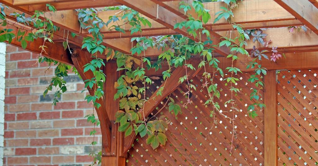 Outdoor Privacy Wall Ideas for Your Backyard