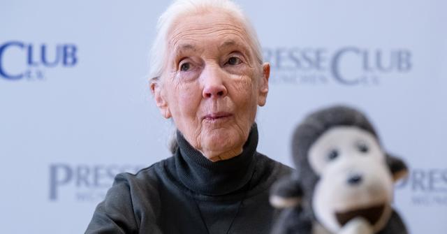 A Kid’s Guide to Jane Goodall: Her Life and Activism
