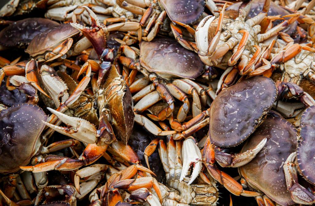 Video Shows Live Crabs Escaping Package in Fish Market