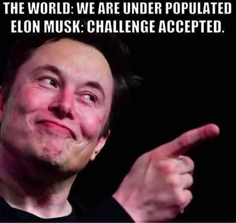 Elon Musk Memes: Poking Fun at the CEO, Tesla, and X