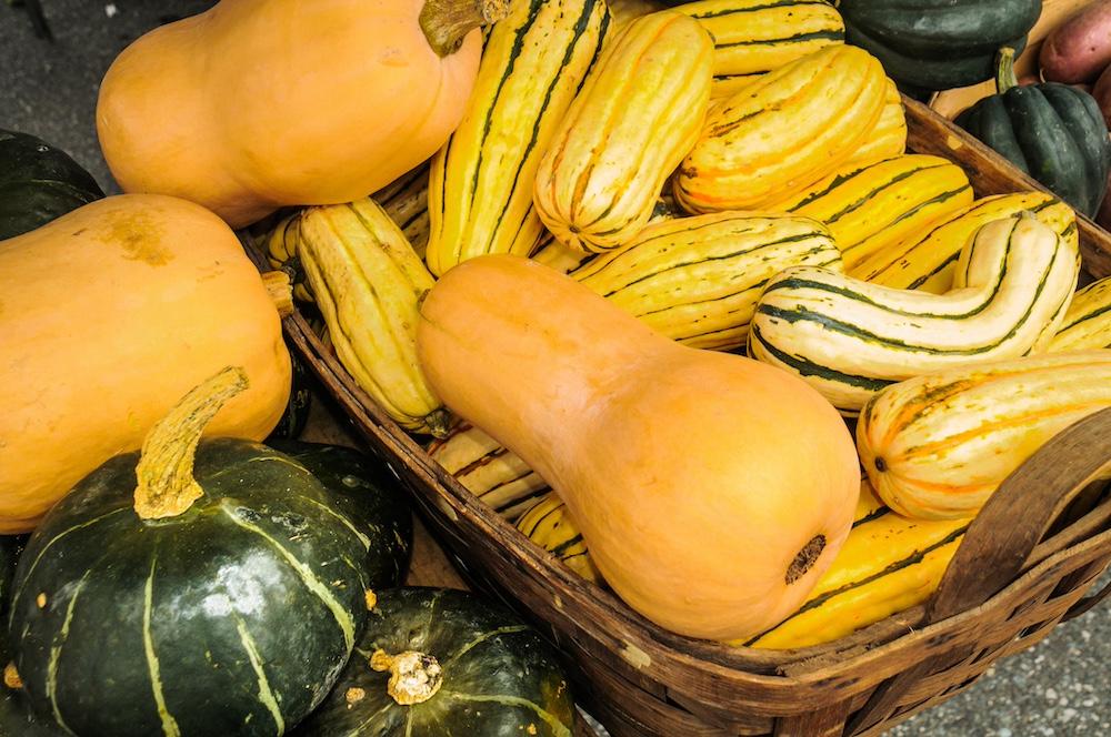 Can Dogs Eat Squash? Is It Healthy For Them? What to Know