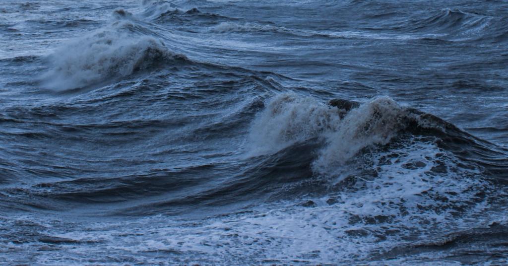 First-Ever Video of Deep Sea Roughskin Dogfish Captured
