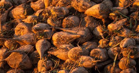 What Do Beets Taste Like? A Look at the Earthy Sweet Flavor