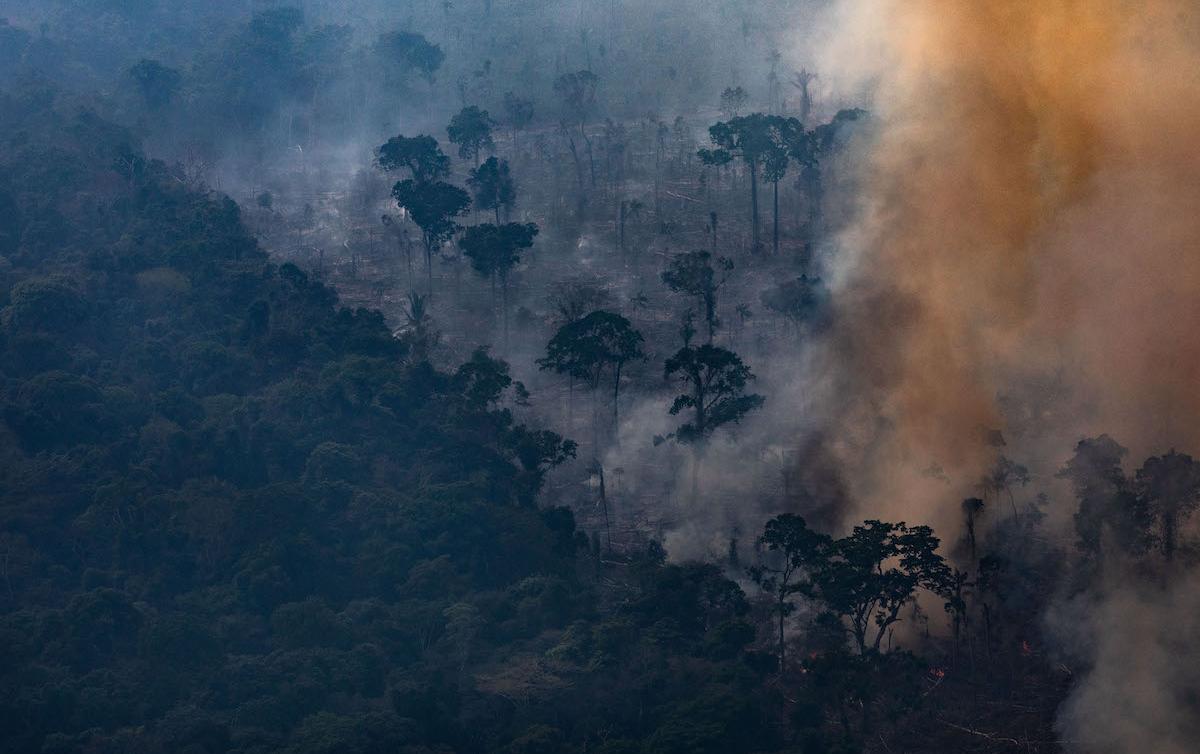 What Is Ecocide? A New Definition Could Help Make it a Crime