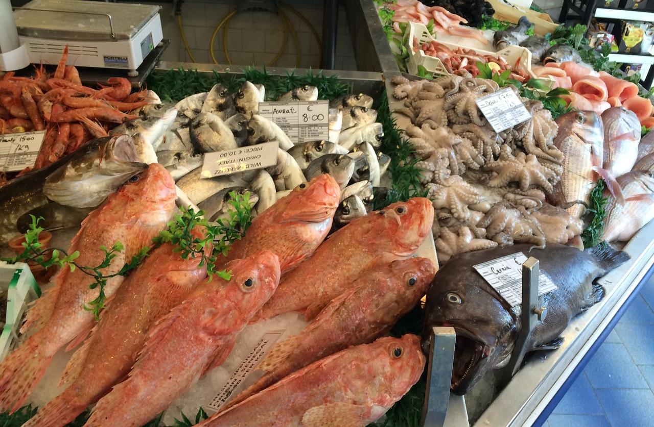 Seafood is shown to contain more and more plastic from pollution