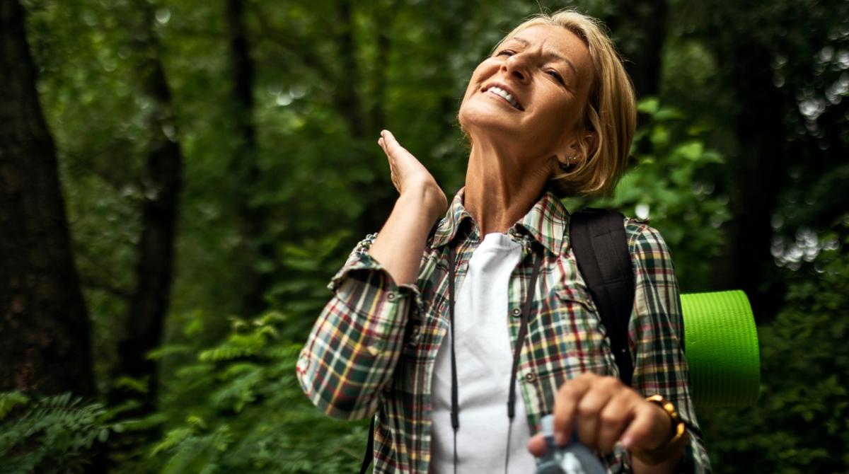 Crane Fly vs. Mosquito: Do They Have Much in Common?