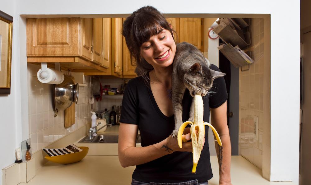 What Fruits Can Cats Eat? Here Are the Safest Options