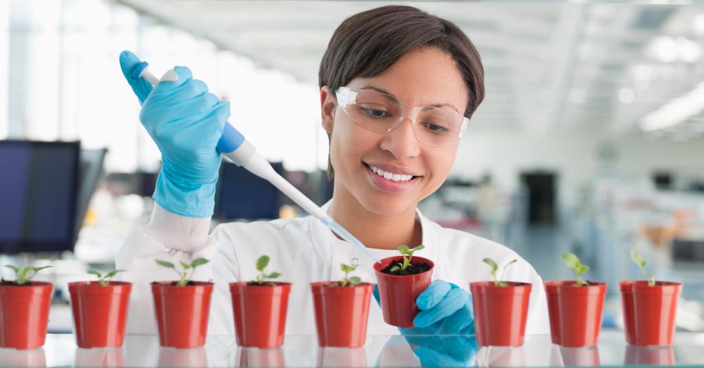 Environmental and Sustainability Jobs