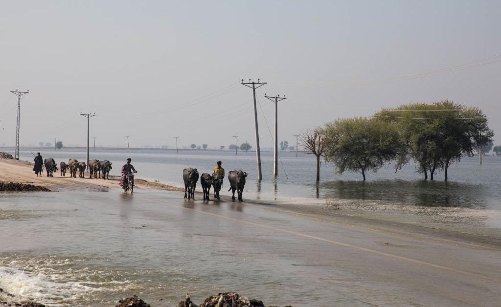 Where Is Climate Change Happening? Where Is Climate Change Happening?