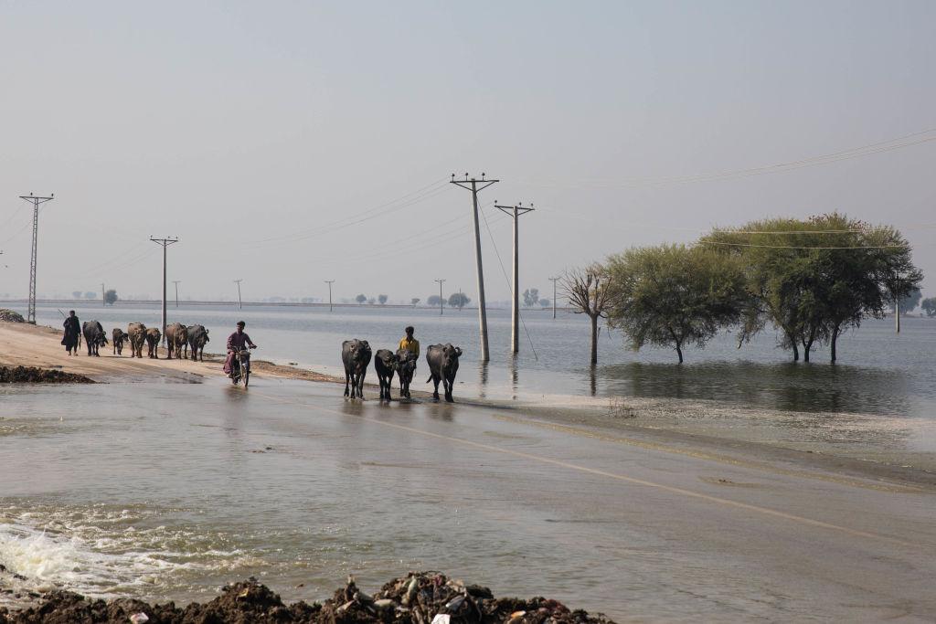 Where Is Climate Change Happening?