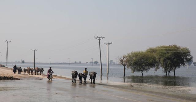 Where Is Climate Change Happening? Where Is Climate Change Happening?
