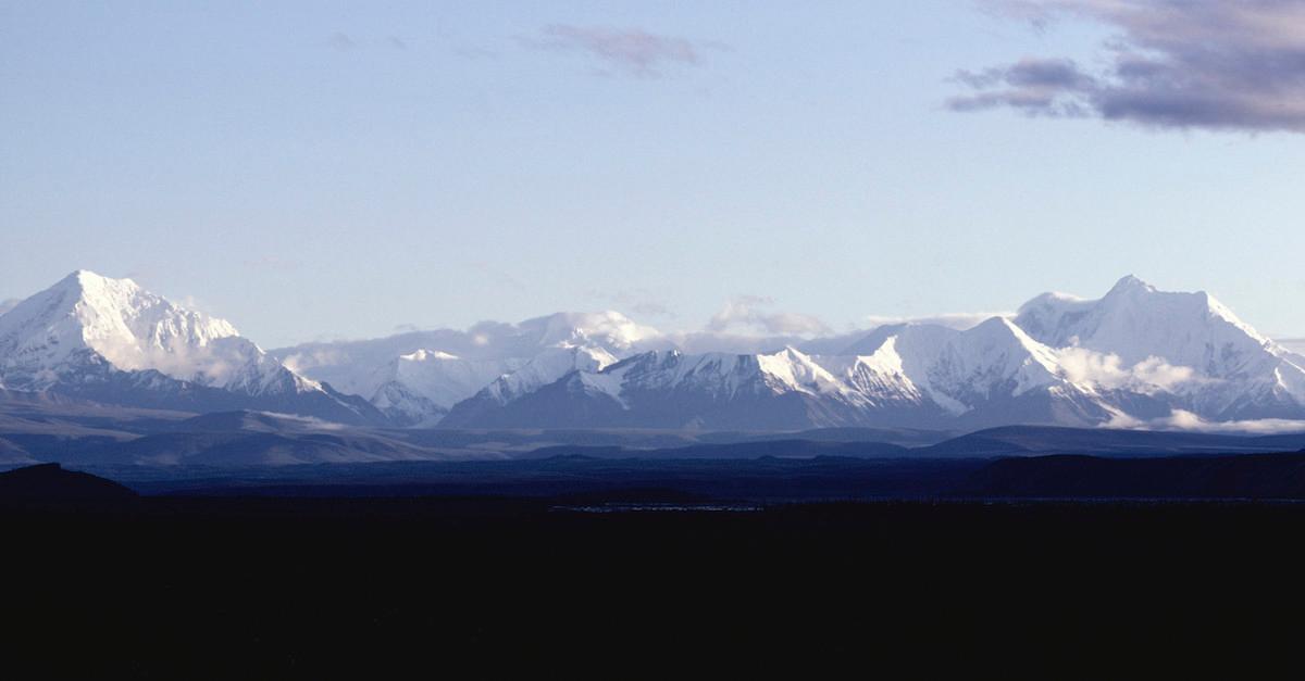 The Willow Project: What It Is, Controversy, and Its Status