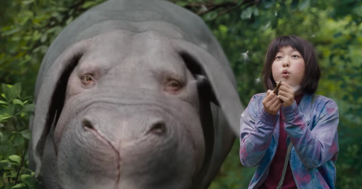 10 Netflix Movies About the Environment