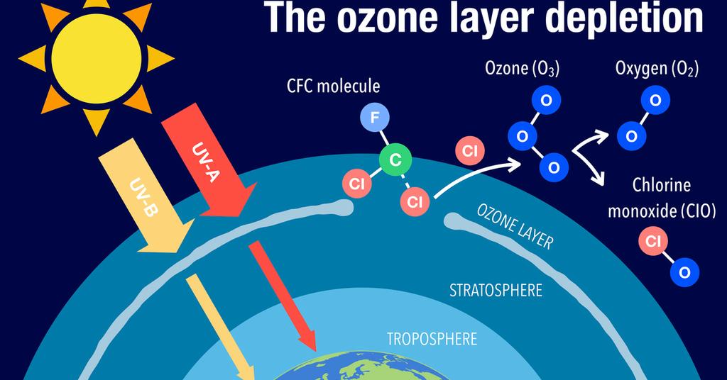 Is the Ozone Layer Healing? Scientists Say Yes