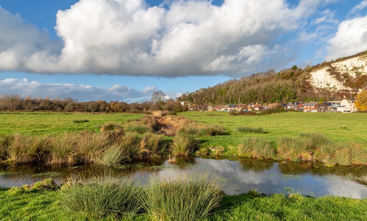 Learn About the Environmental Factors of Freshwater Biomes