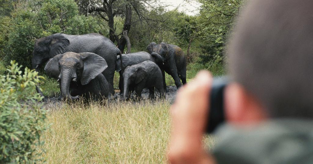 Documentaries to Watch on Earth Day