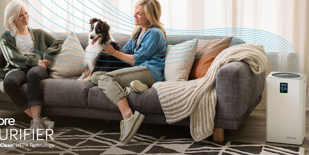 10 Best Air Purifiers for Homes of All Sizes