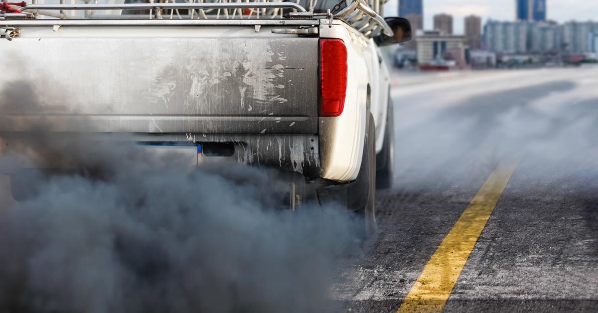 How Has the Planet Changed With COVID-19?