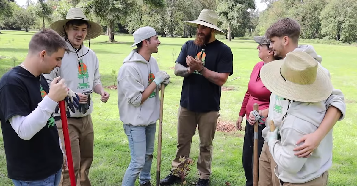 YouTubers Are Raising Money to Plant 20 Million Trees #TeamTrees