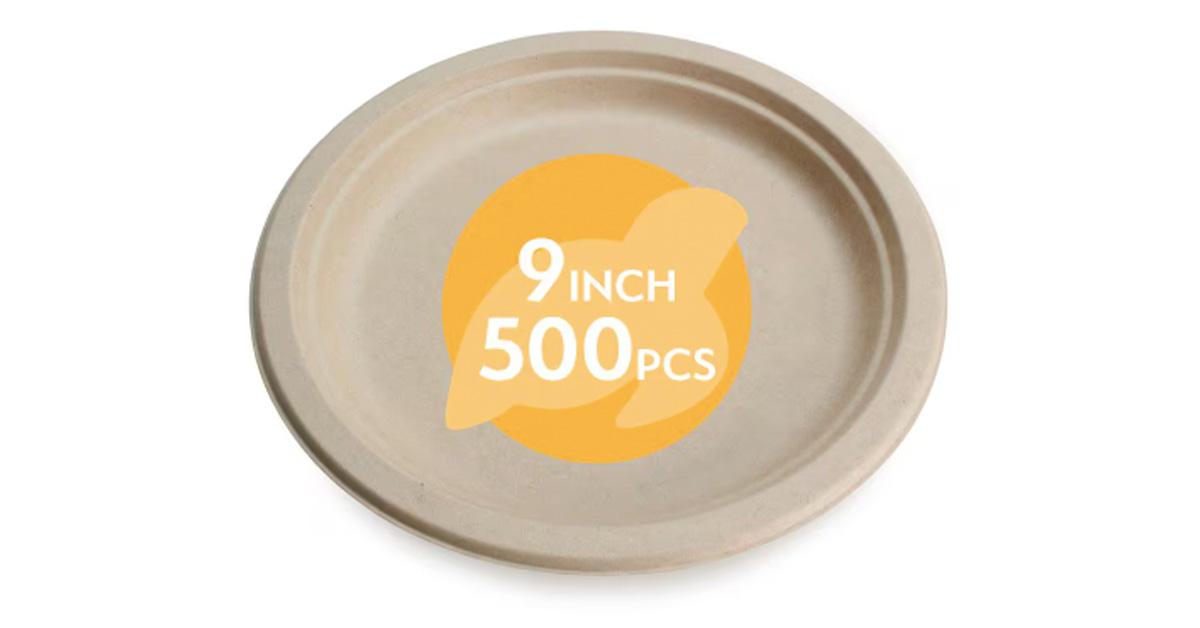 Eco-Friendly Disposable Plates Made of Clever, Compostable Materials