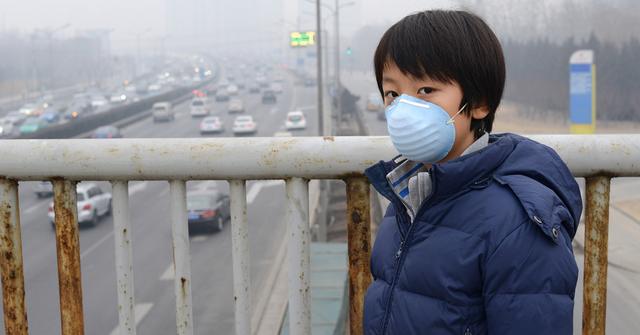 How Air Pollution Affects Humans