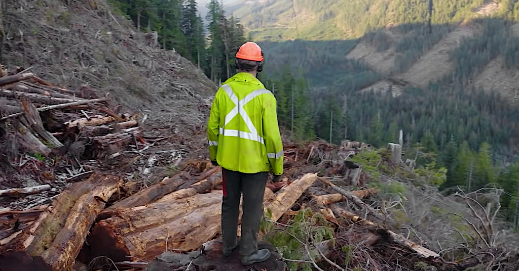 Netflix's ‘Big Timber’ Sheds Light on the Logging Industry, but Is That ...