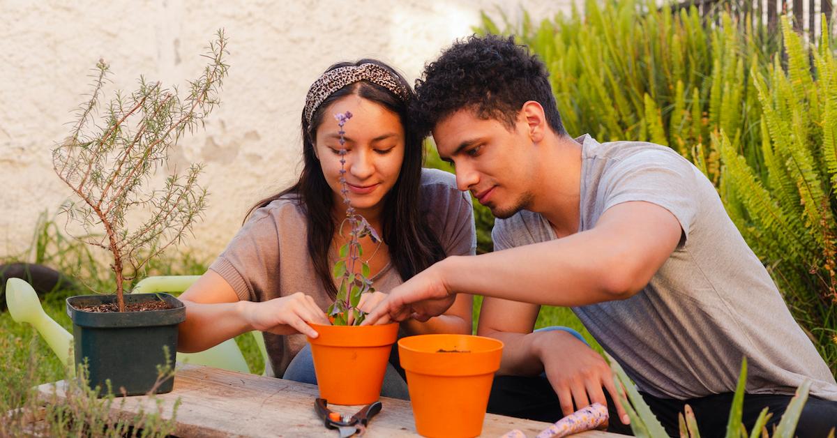 Being Eco-Friendly May Help Your Dating Life, Recent Surveys Show