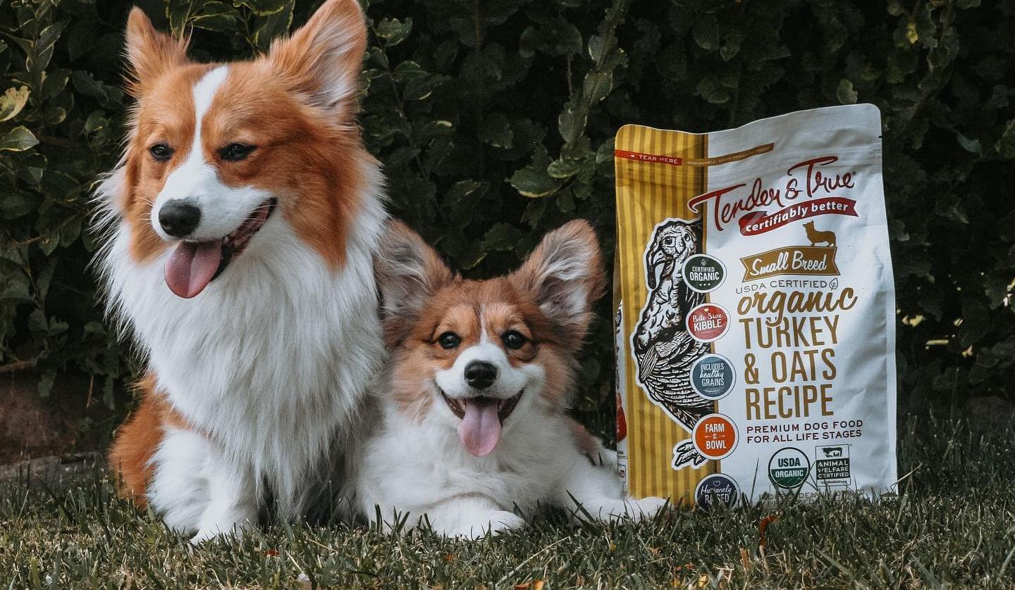 Best Natural Dog Food and Cat Food Brands