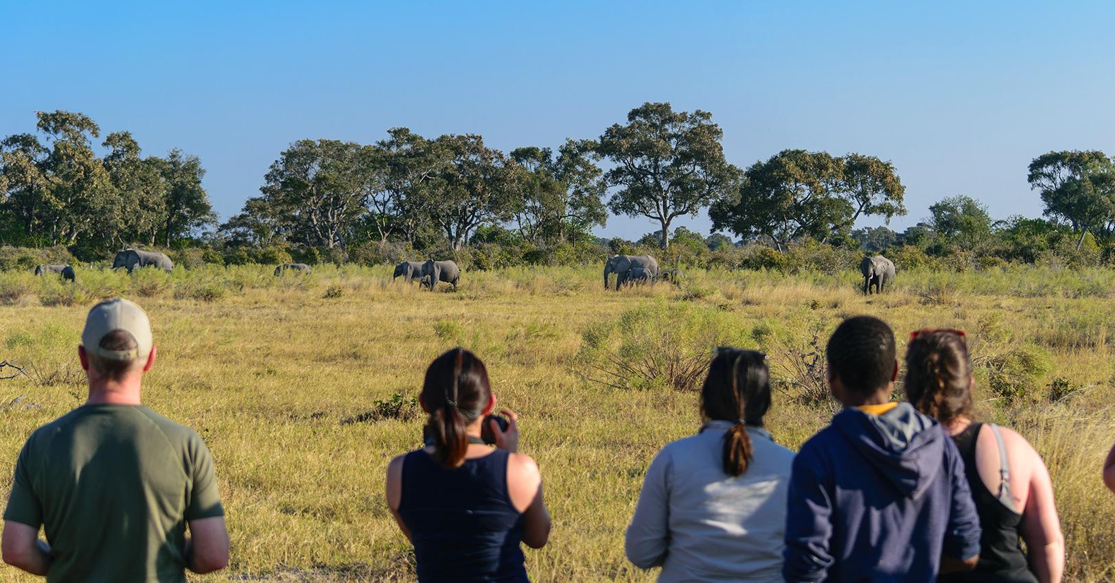 A Q&A With Intrepid Travel’s Chief Purpose Officer