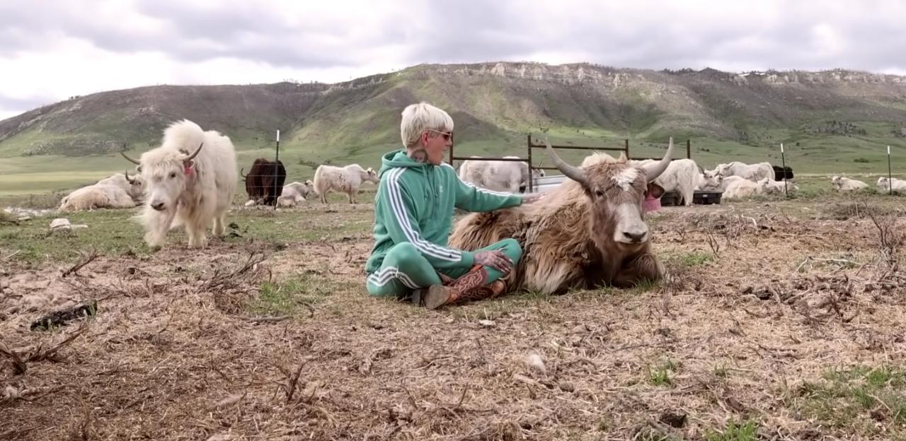 Is Jeffree Star Actually Vegan? What We Know