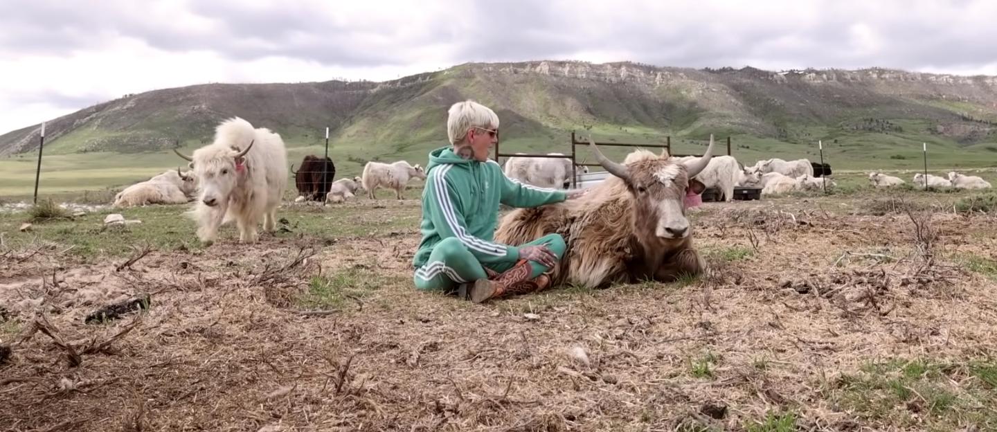 Is Jeffree Star Actually Vegan? What We Know