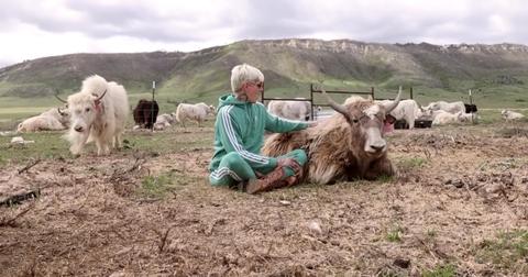 Is Jeffree Star Actually Vegan? What We Know