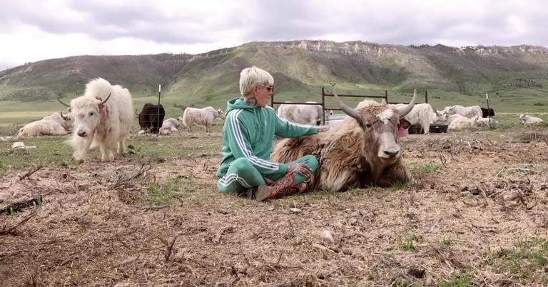 Is Jeffree Star Actually Vegan? What We Know