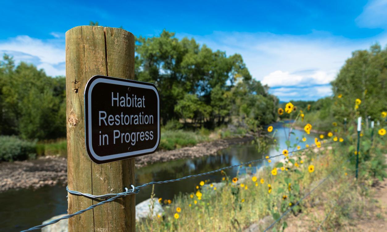 What Are the Goals of Ecological Restoration?