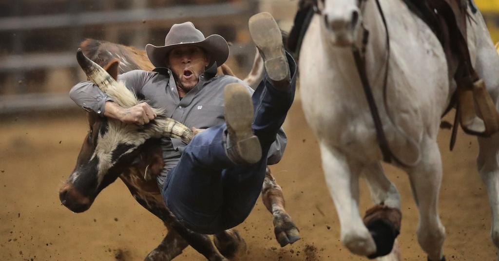 Are Rodeos Animal Abuse? How Bulls and Horses Are Treated
