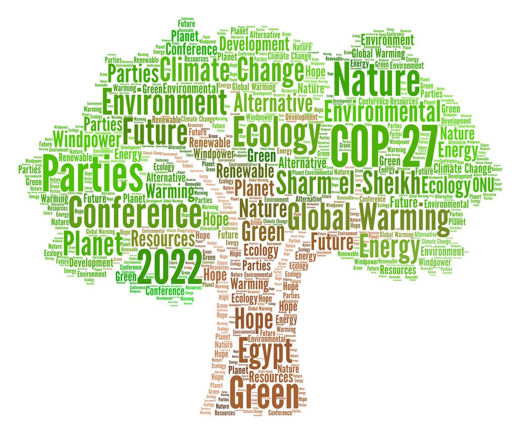 The COP27 Agenda: What You Need to Know