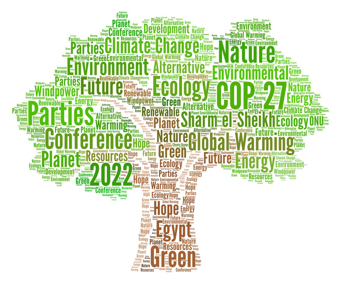 The COP27 Agenda: What You Need to Know