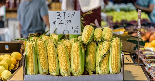 How Long Does Corn on the Cob Last?