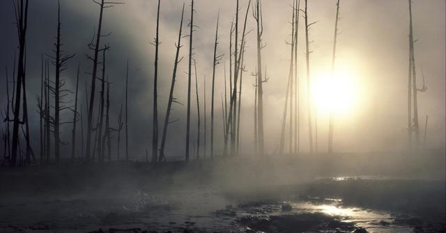 How Does Acid Rain Affect the Environment? What We Know