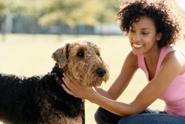 How to Adopt a Hypoallergenic Dog: 6 Tips