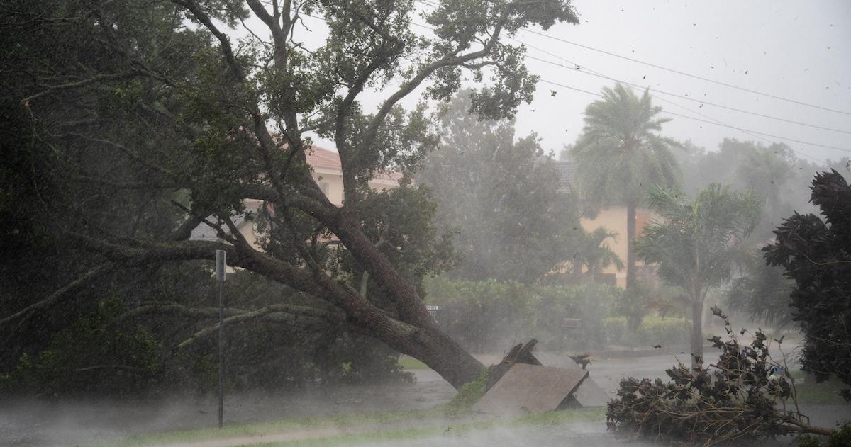 Hurricane Ian Death Toll Rises in Florida: See Pictures of the Tropical ...