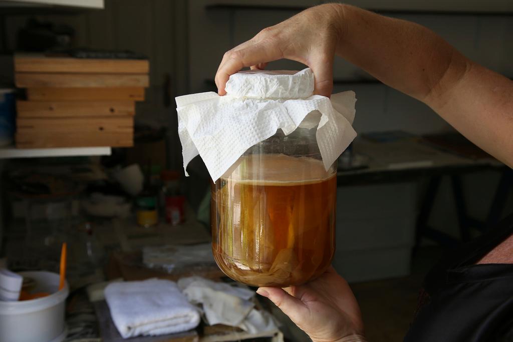 What Is SCOBY — And How to Make Your Own Kombucha