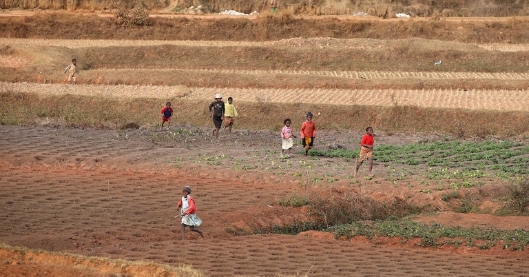Madagascar’s Impending Famine Was Triggered by Climate Change